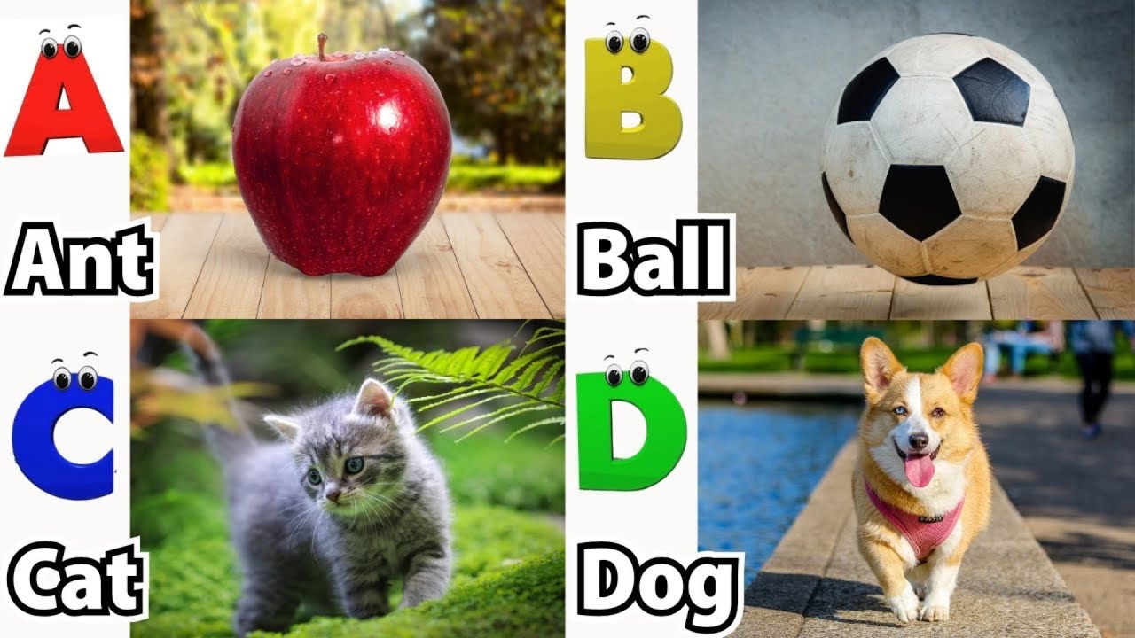 ABC Apple Song,Learn Alphabets | English and Animals for Kids | abcd ...