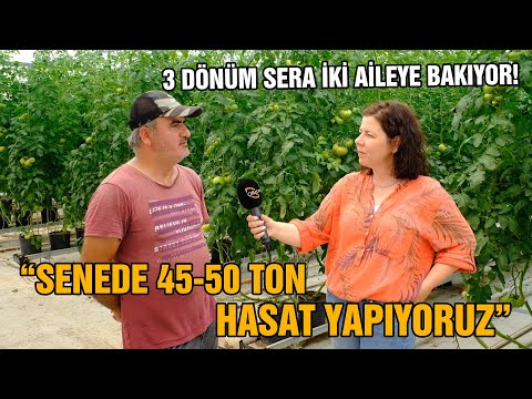 Jeotermal Su ile Isıtılan Seradayız! SENEDE 45-50 TON HASAT / \
