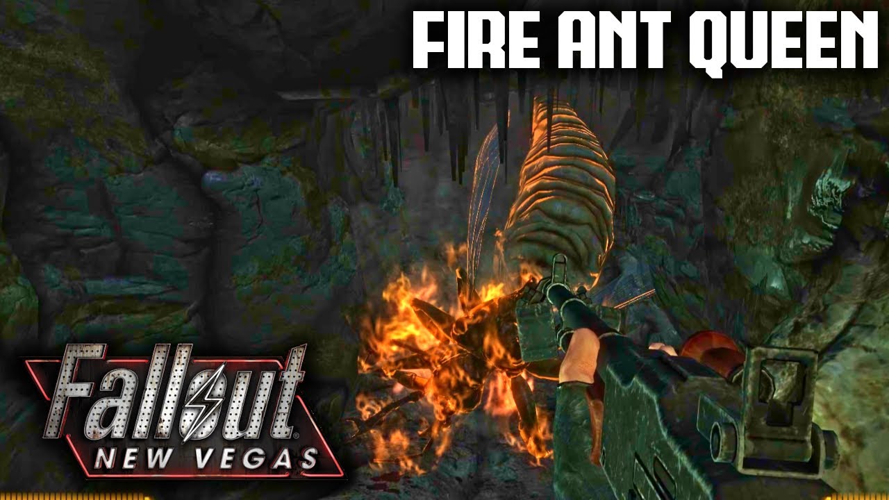 The Fire Ant Queen got smoked by a mailman | Fallout: New Vegas ...