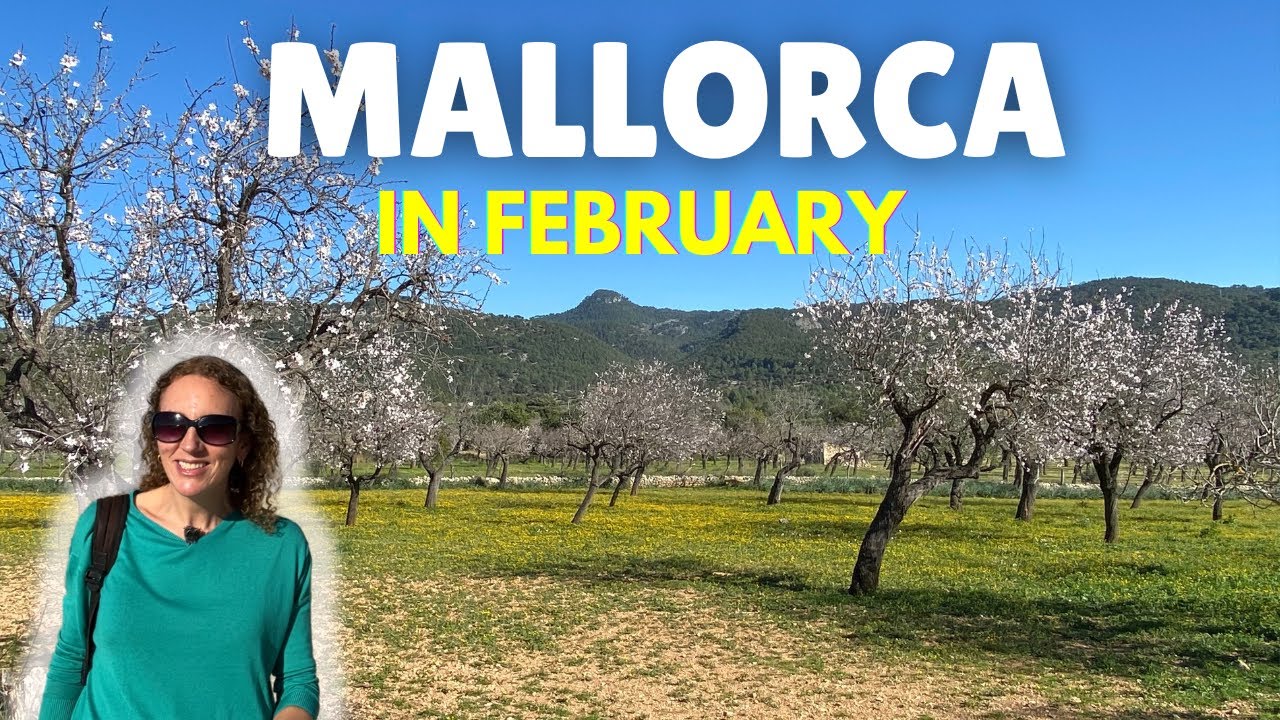 Should you visit Mallorca in February 2024? - YouTube