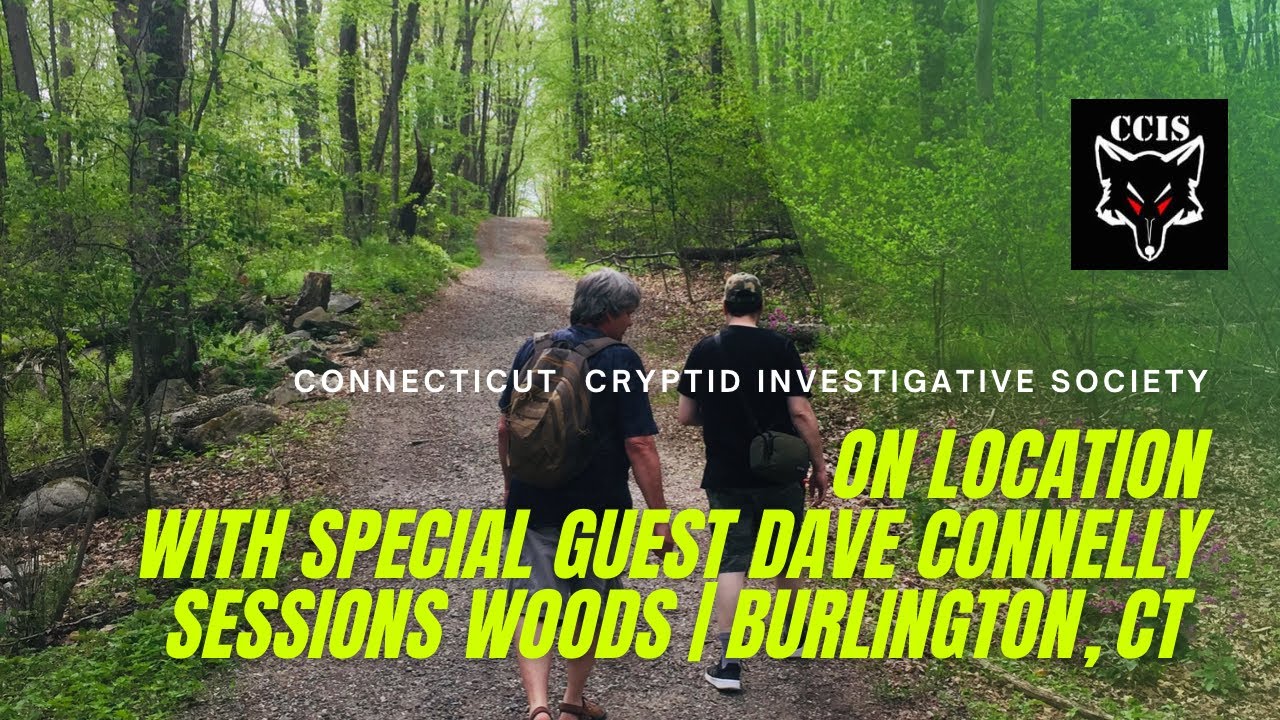 Escape To Nature's Playground: Exploring Sessions Woods Wildlife ...