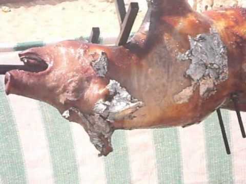 the Zwierachs - prosie sie kreci