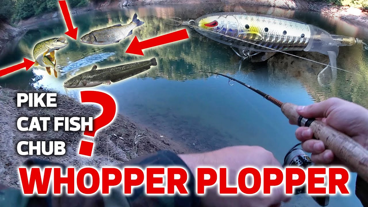Fishing with Whopper Plopper | Eating Fake Which Fish Attacked | 2022 ...