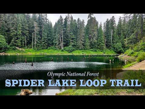 Spider Lake | Remote Lake Along Forest Road 23