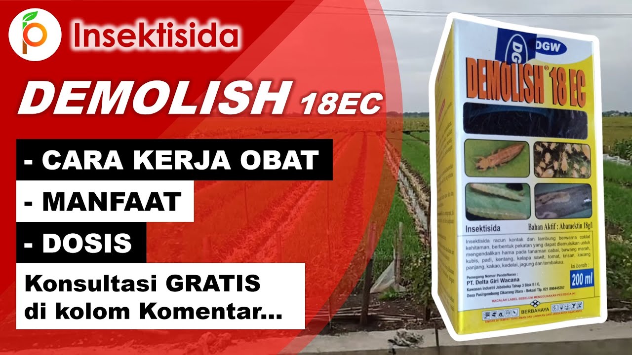Review Insektisida Demolish 18 EC - Manfaat insektisida demolish ...