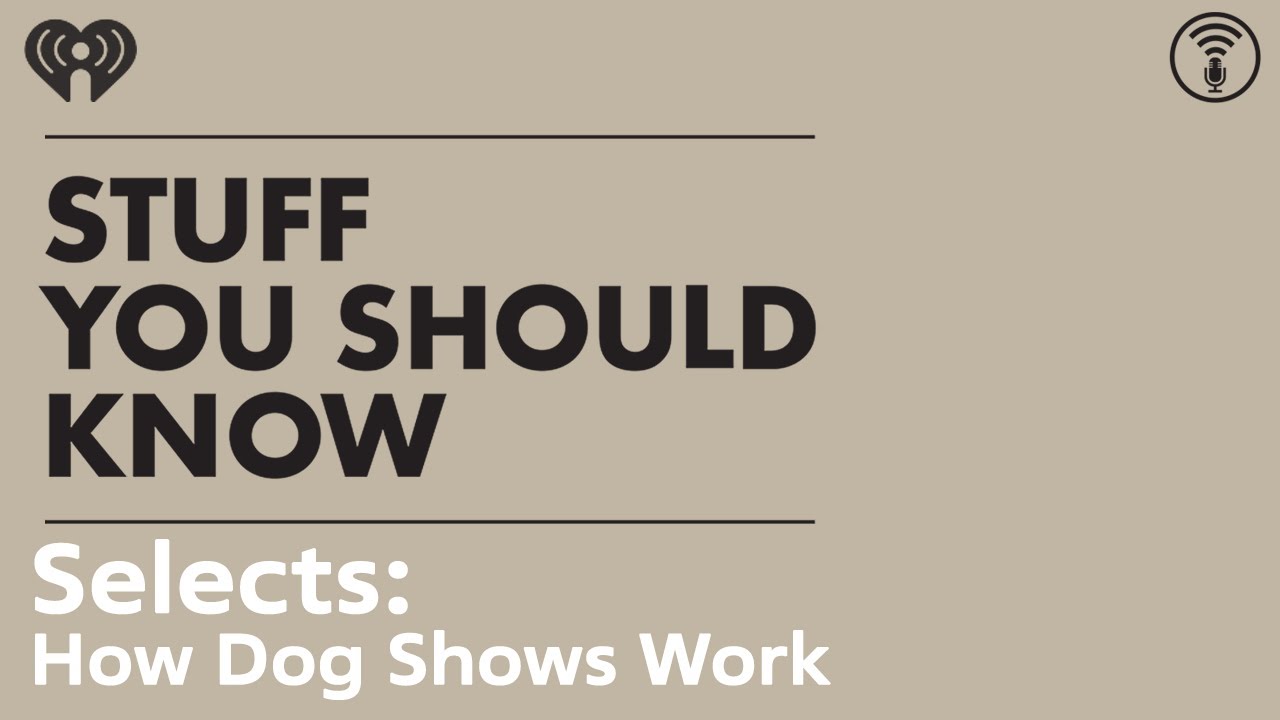 Selects: How Dog Shows Work | STUFF YOU SHOULD KNOW - YouTube