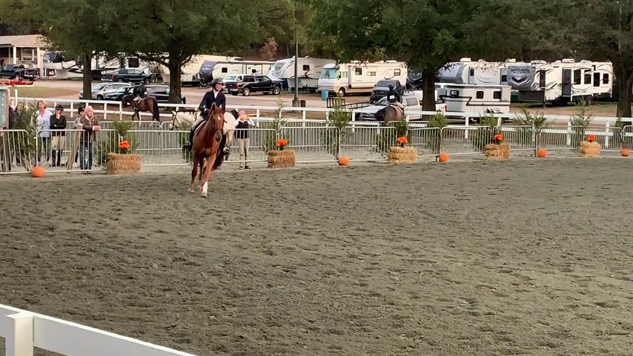 Plush 3'3" Performance Hunter Duke Horse Show 2019 - YouTube