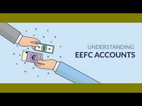 EEFC Account_ explained in Hindi _ v blog Number 12 - YouTube
