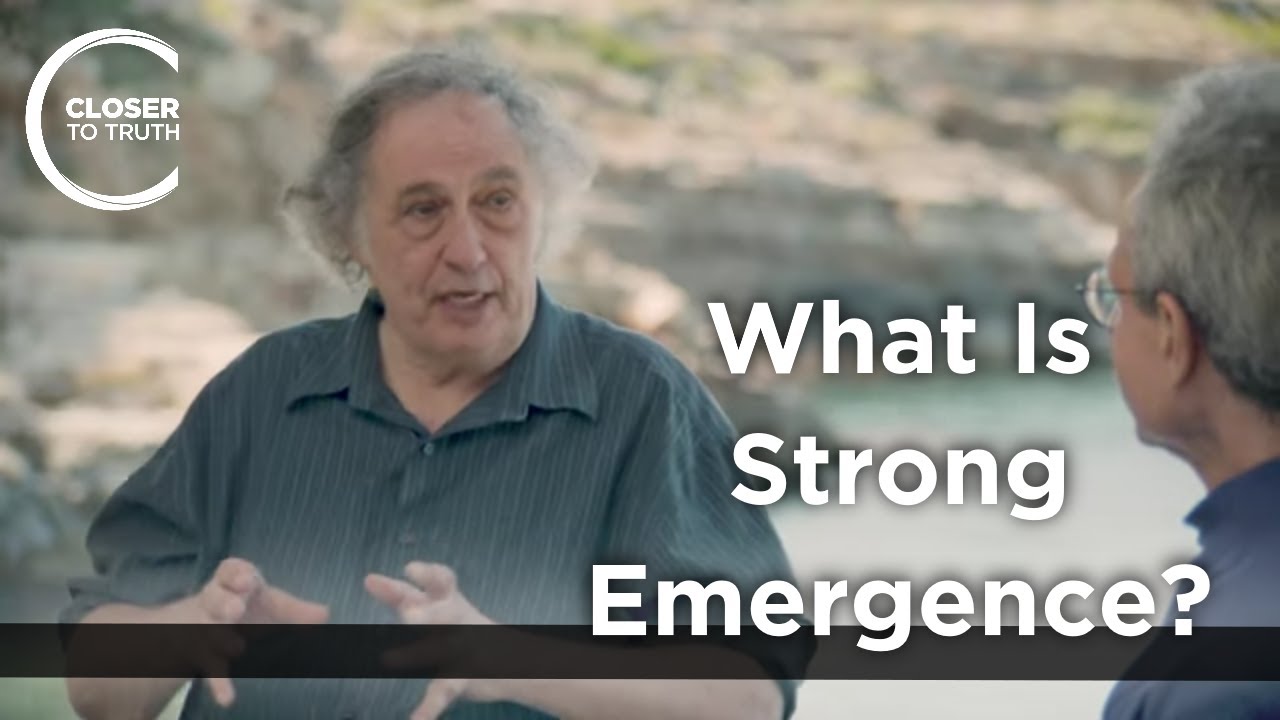 Barry Loewer - What Is Strong Emergence? - YouTube