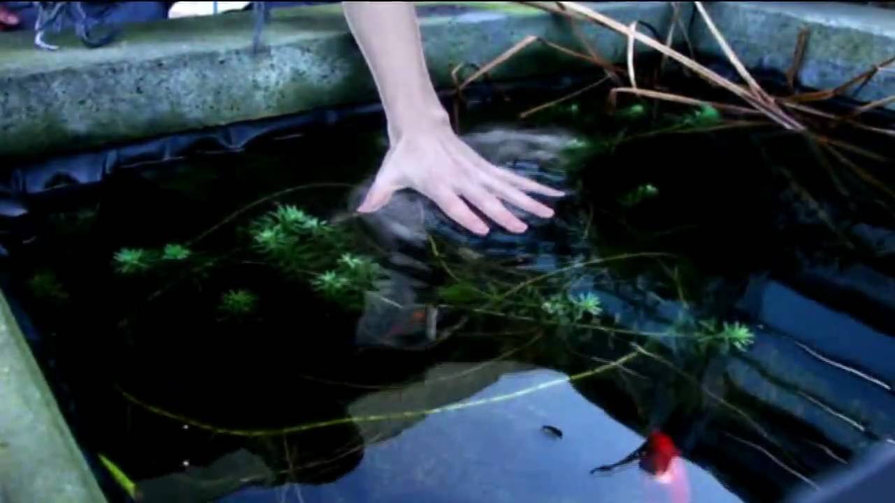 Heroes Visual Effects - Freezing - YouTube