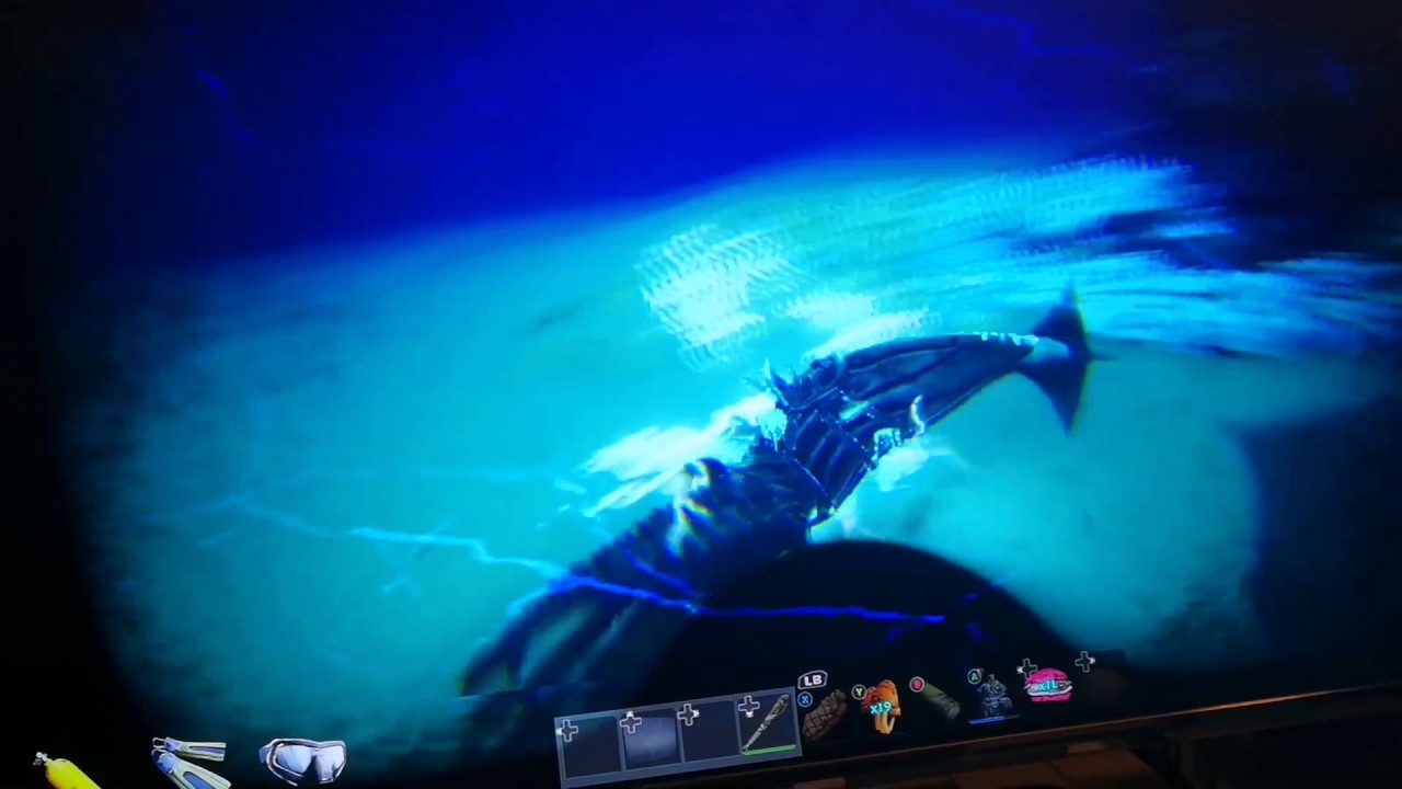 Eel stuck in squid ark - YouTube