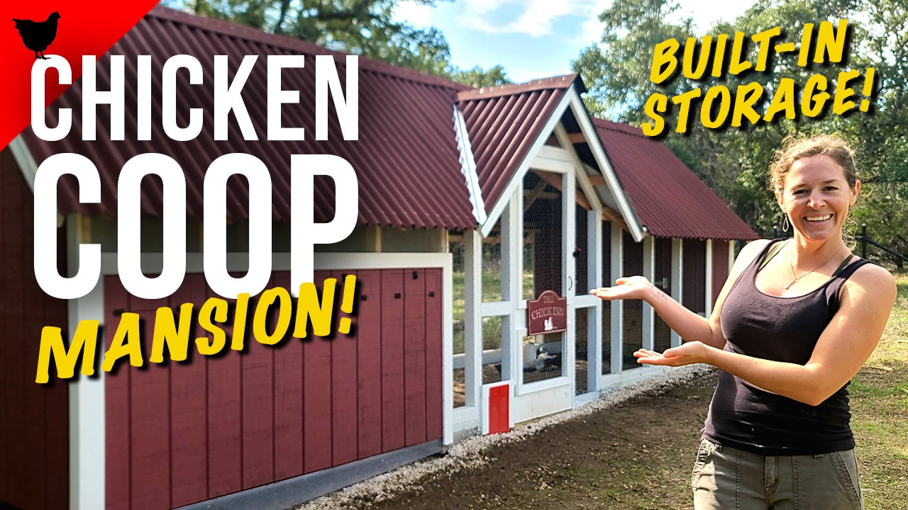 Building the Ultimate Chicken Coop | Part 2 - YouTube