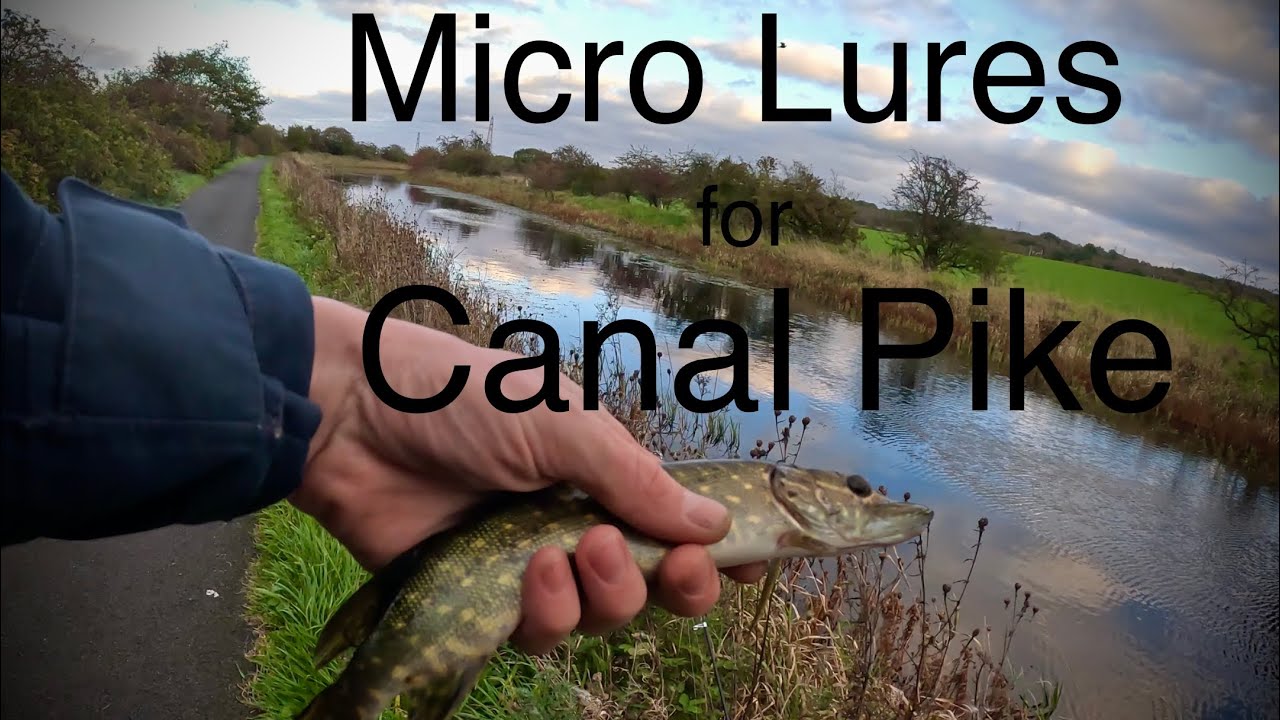 Canal Fishing with Lures - Action Packed Evening Pike Fishing - YouTube