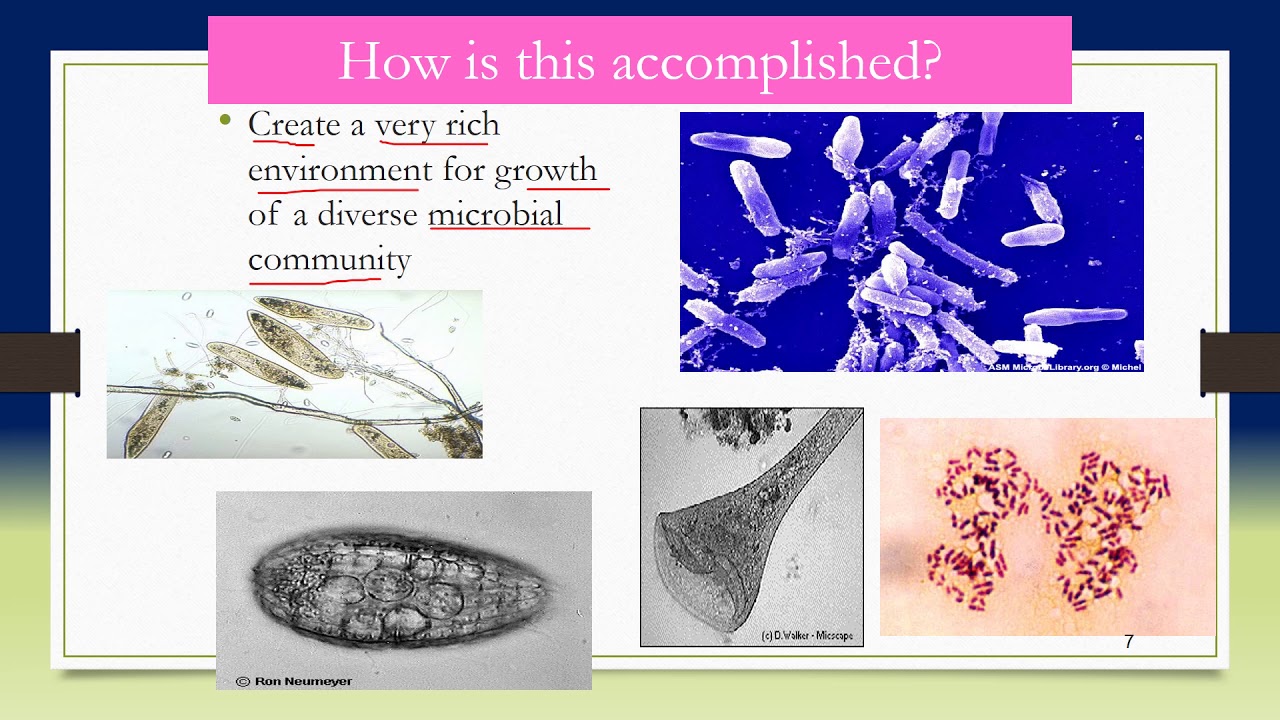 Chapter 5 (1st part) - YouTube