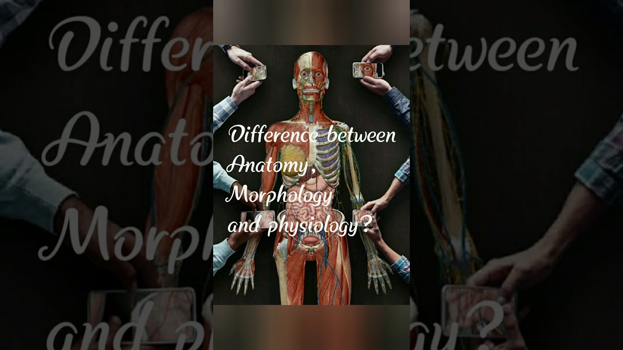 difference-between-anatomy-morphology-and-physiology-science-biology