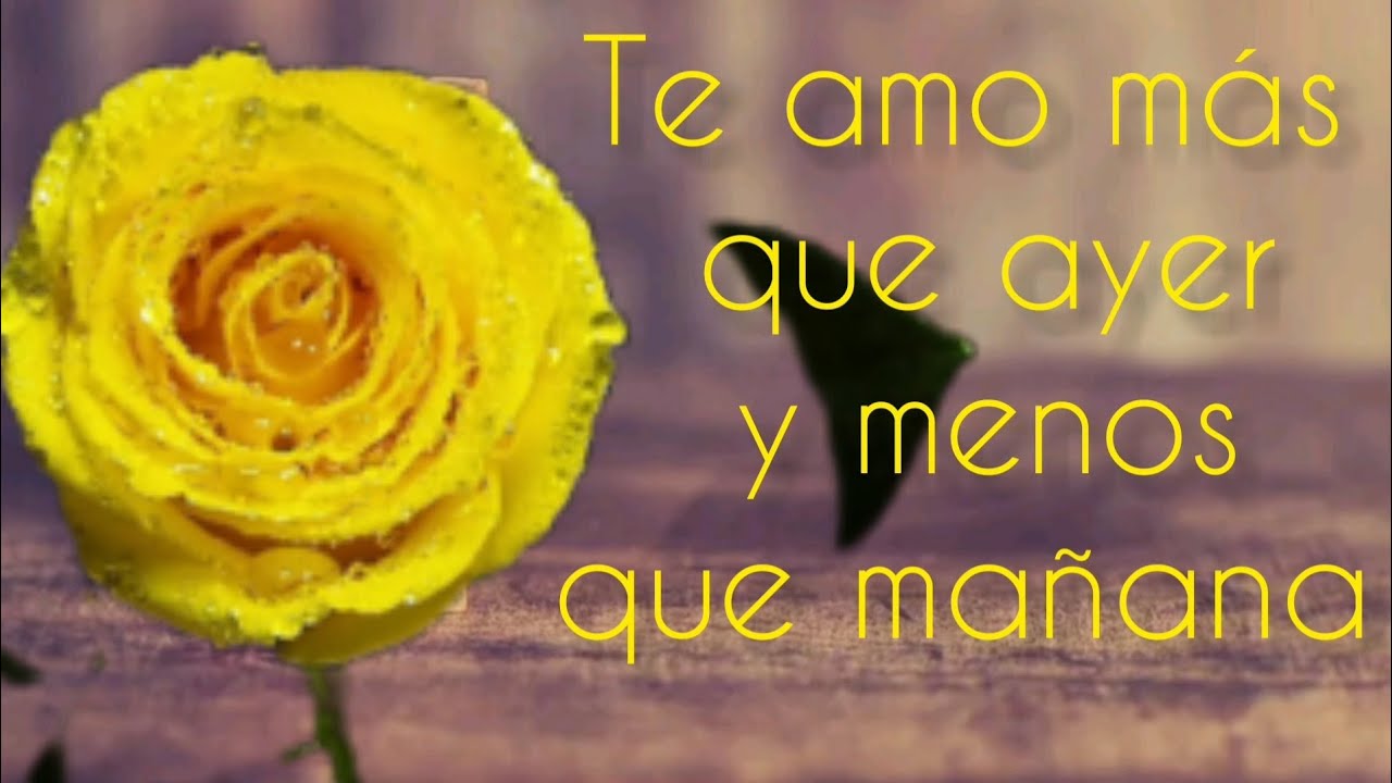 Te amo más que ayer y menos que mañana. - YouTube