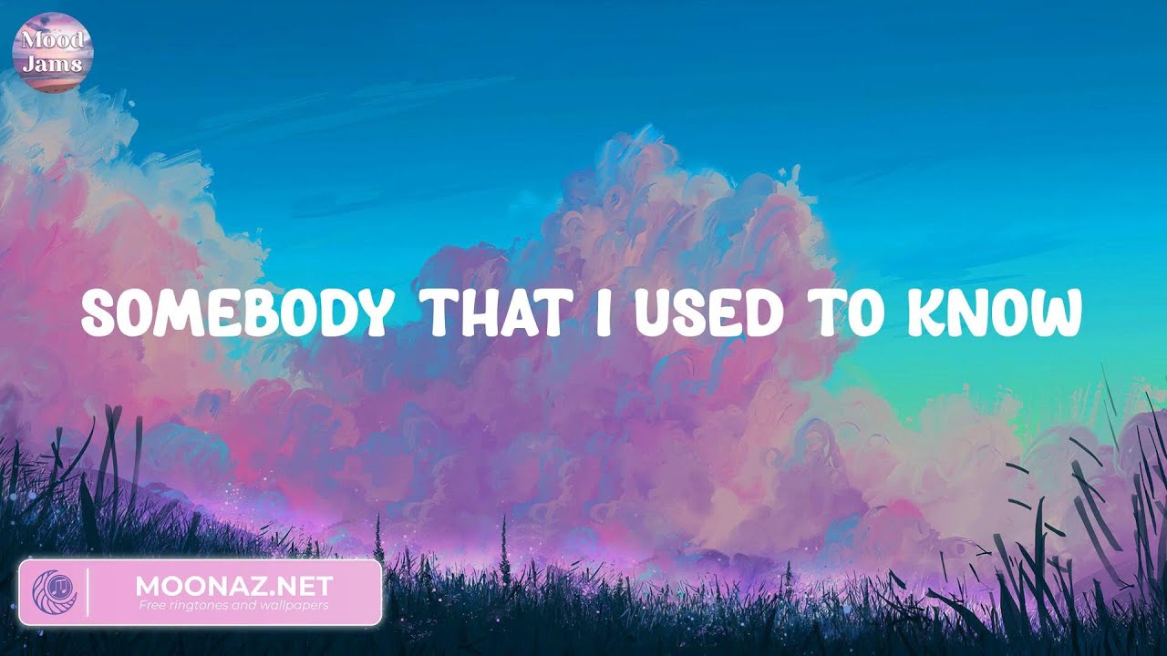 Somebody That I Used To Know - Gotye (Lyrics) Ava Max, Wiz Khalifa ...
