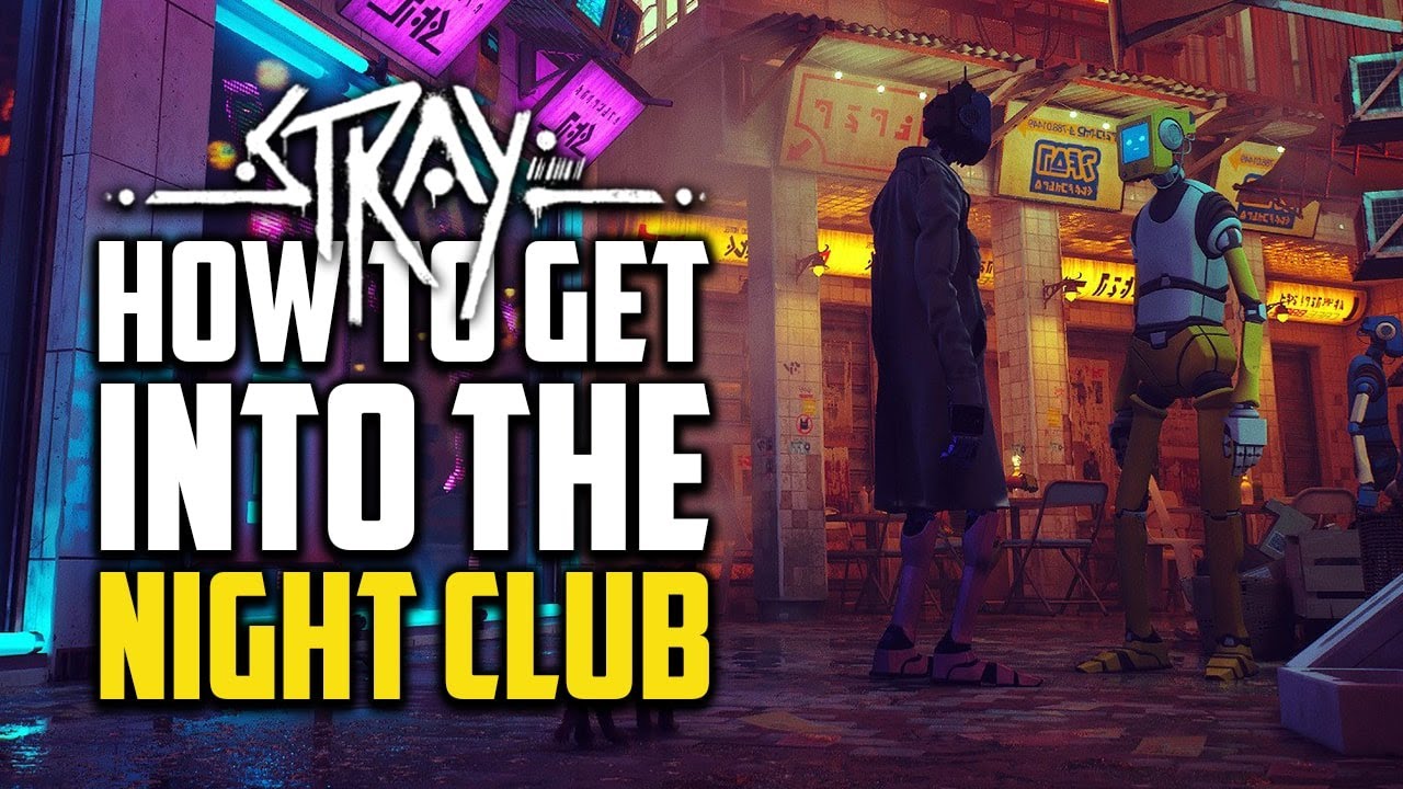 How To Get Into The Night Club - Stray - YouTube