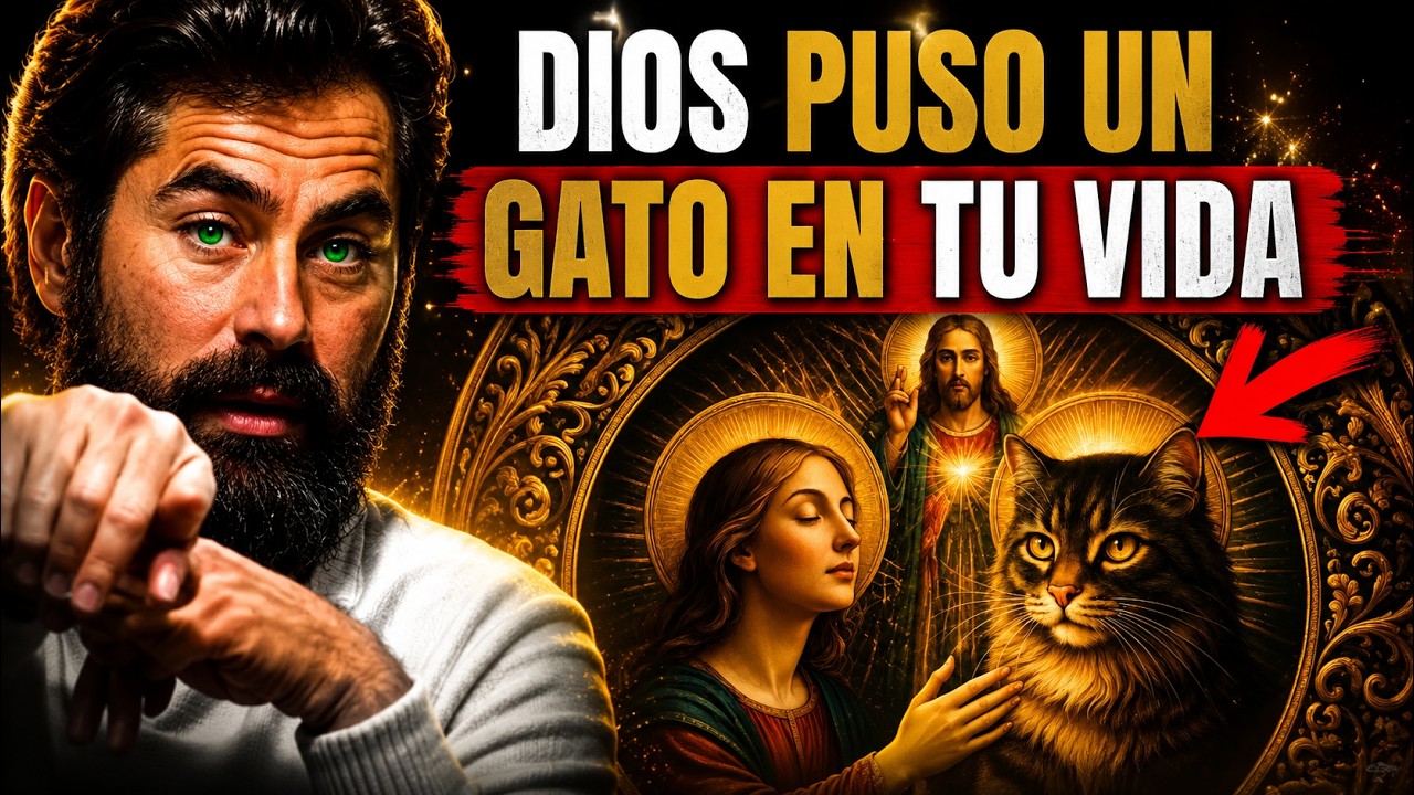 ¿Por Qué Dios Puso un Gato en Tu Vida? 🐾 El Significado Espiritual de ...