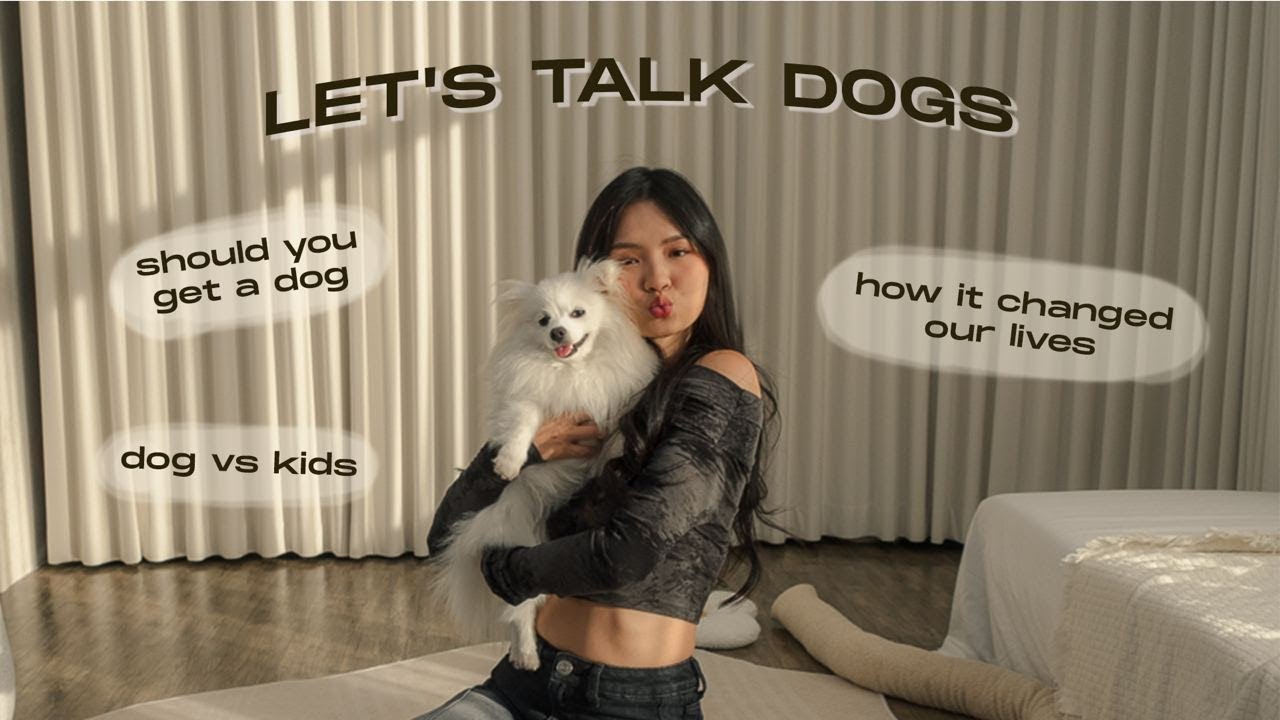 LET'S TALK DOGS | PET Q&A ️ #pets #dog - YouTube