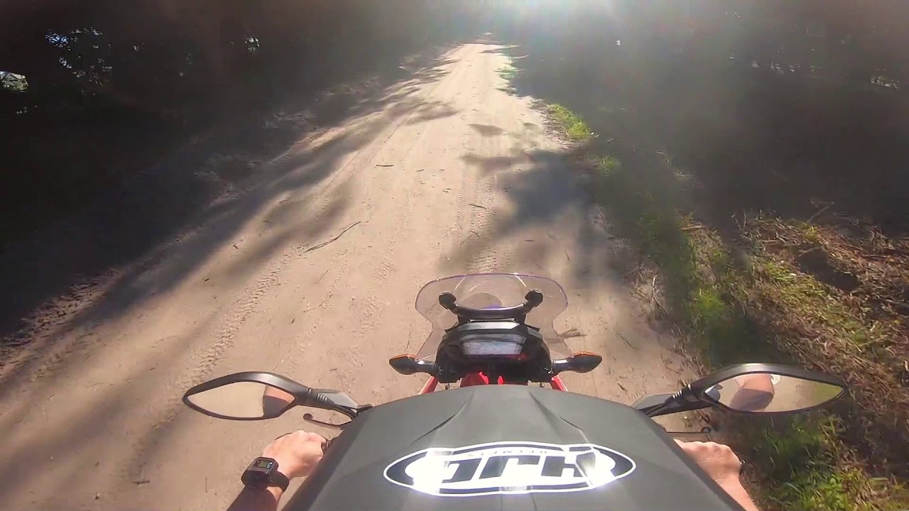 Cleotis Jungle Trail - YouTube