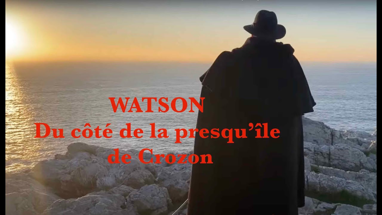 TURTLE PAMPLEMOUSSE 179 - Watson l'aventurier en liberté du côté de la ...