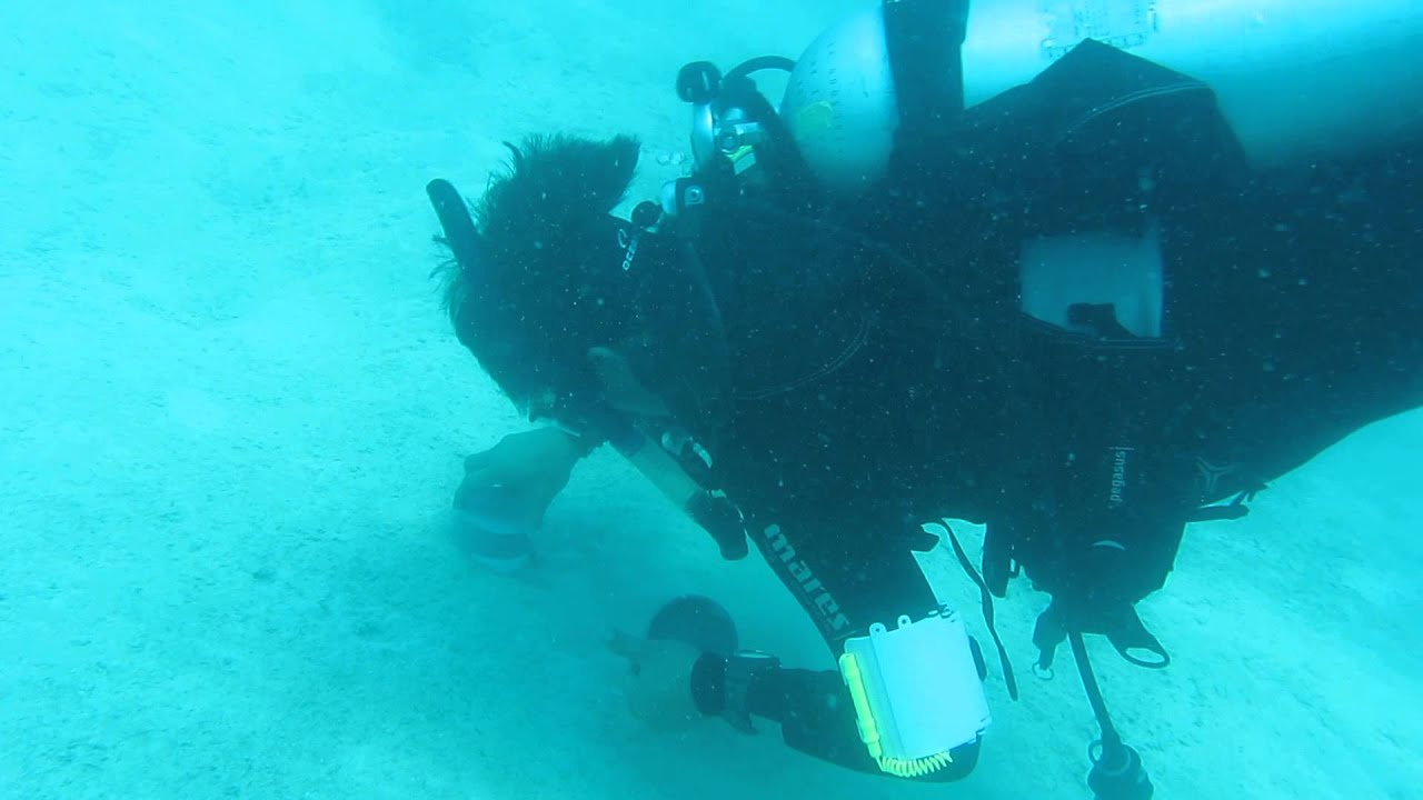 Diving for Collecting Sample of Seabed Material - YouTube