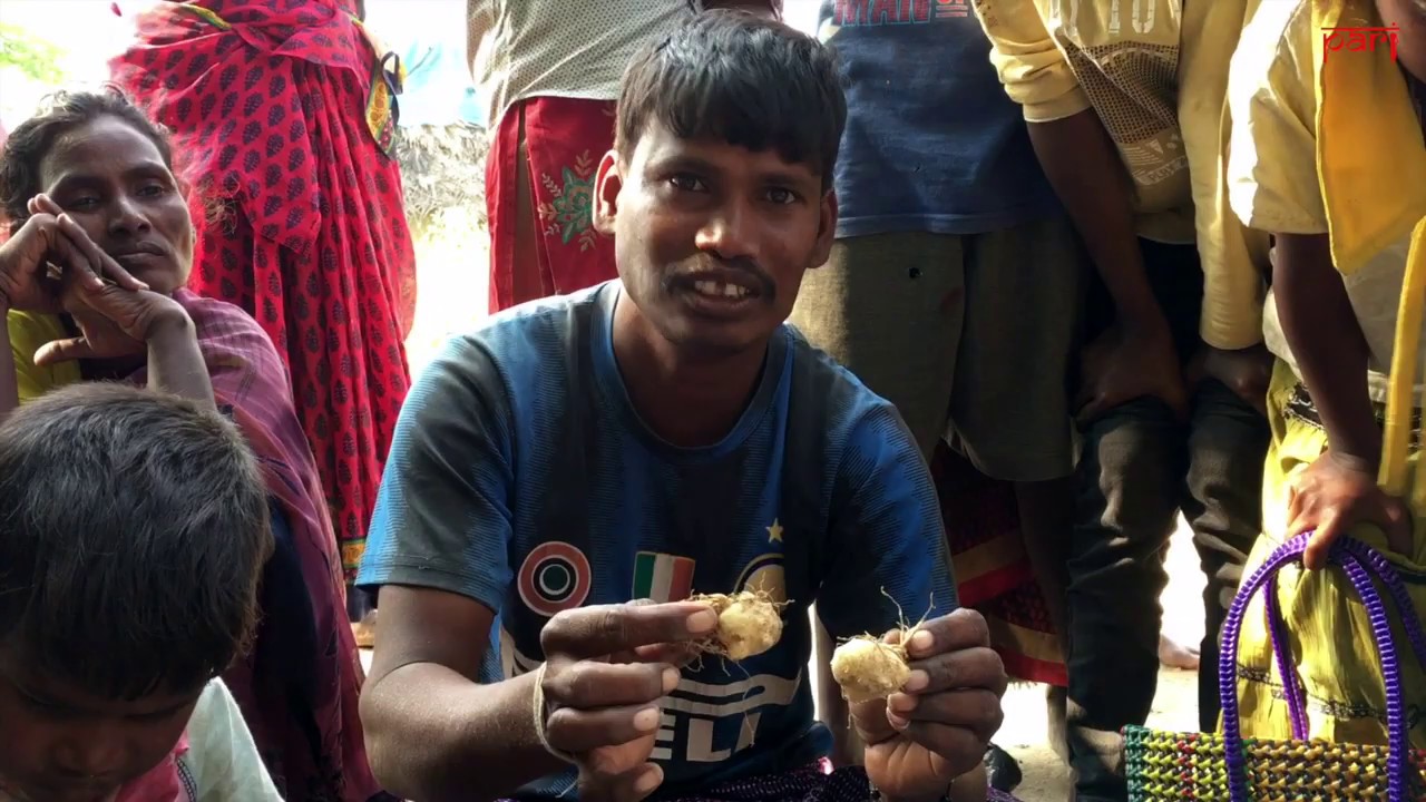 The Irula Adivasis of Tamil Nadu: ‘Our people used to eat this and ...