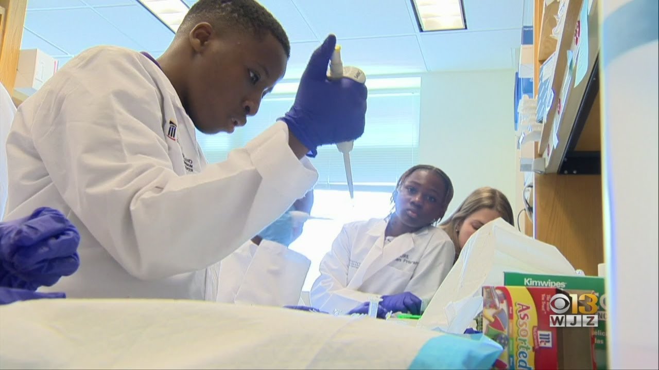 'CURE' Program Bridges Pathway To Science And Medicine For Local ...