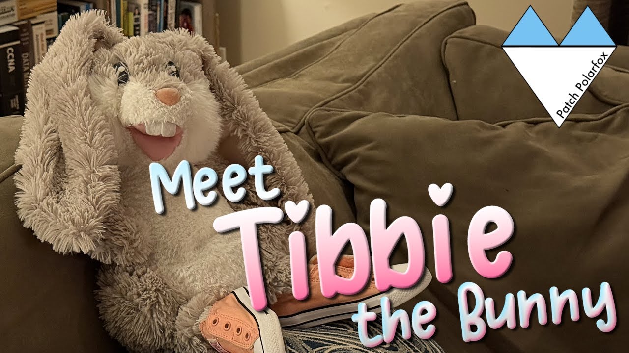 Meet Tibbie the Bunny - YouTube