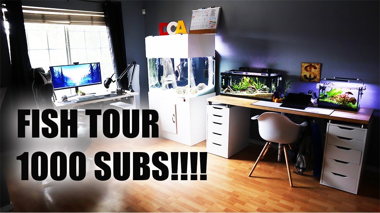 FISH ROOM TOUR (2019) - YouTube