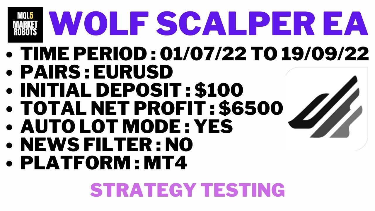 Wolf Scalper EA MT4 Forex Robot Strategy Testing - YouTube