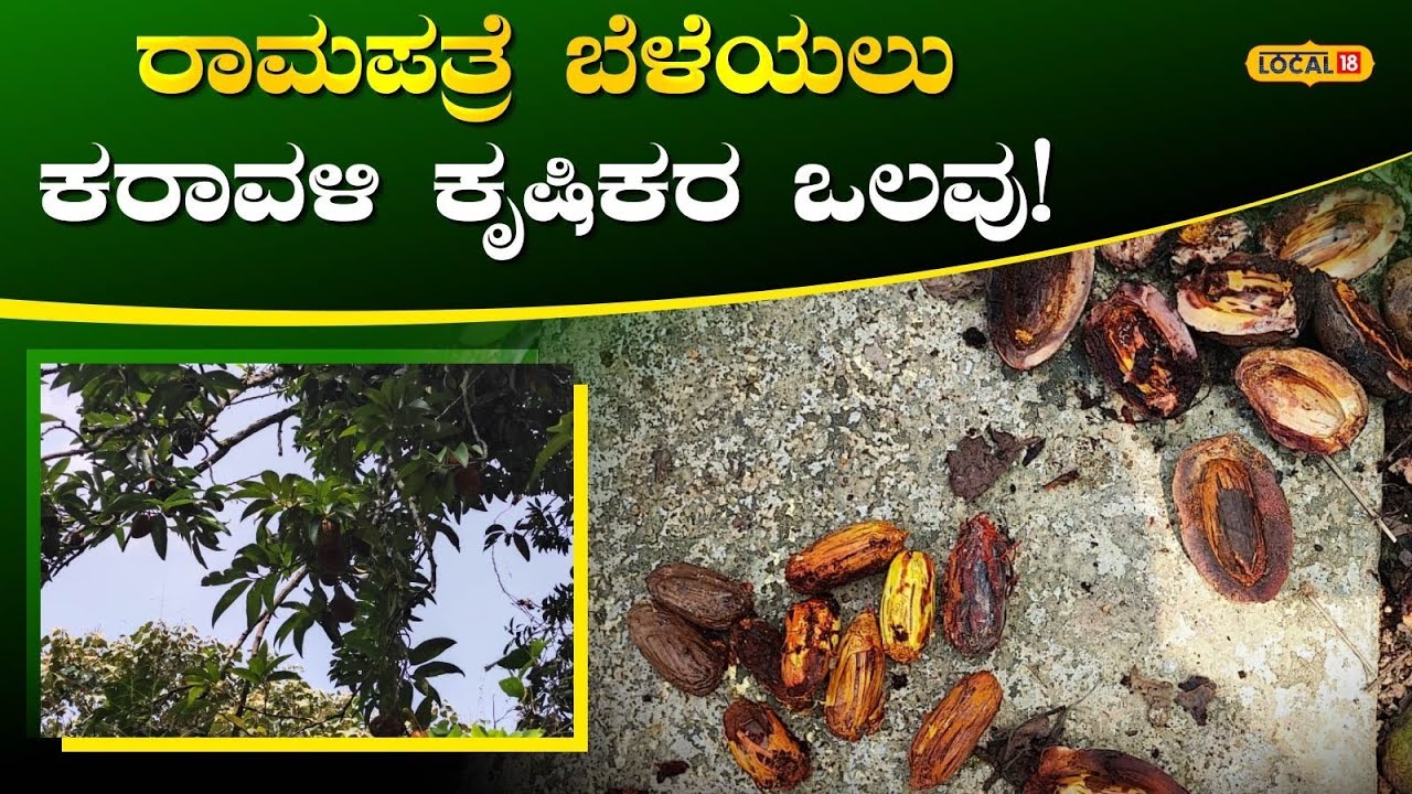 Dakshina Kannada | Ramapatre Farm | ಕರಾವಳಿ ಕೃಷಿಕರ ಕೈಹಿಡಿಯುತ್ತಾ ರಾಮಪತ್ರೆ ...