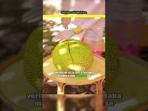 Esta chica robó toda la jaca. #shorts #shortvideo