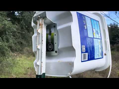 Homemade pollen substitute feeder. - YouTube