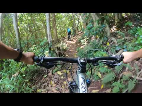 Ohana Trail - Oahu, Hawaii - YouTube