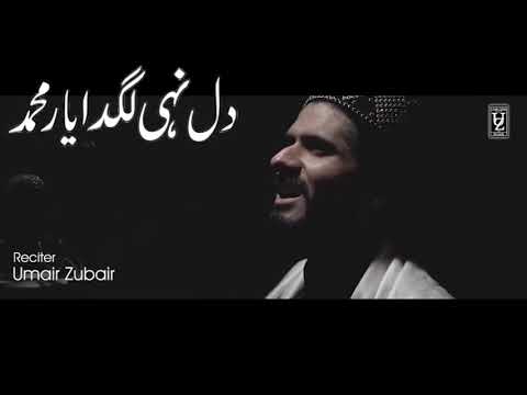 Tur Gay Yar Muhabbtan Waly Status