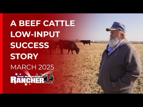 Ohlde Cattle Company   The American Rancher   03 31 25