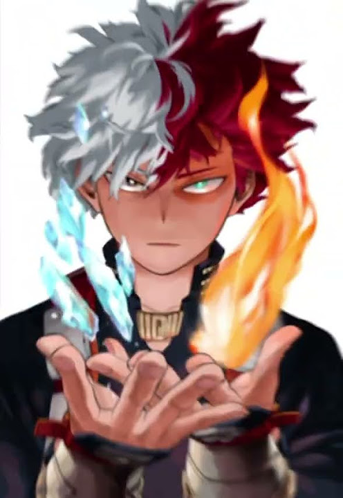 Definitely Dont Have A Crush On Himđ Ok Fine I Lied I Have A Crush On Him But Shoto Todoroki