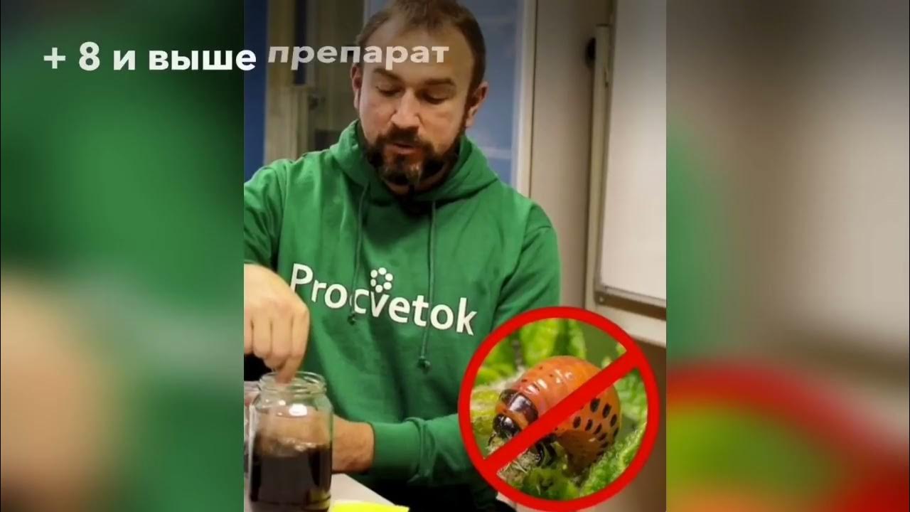 Вопрос дачников - Метаризин от почвенных вредителей - YouTube