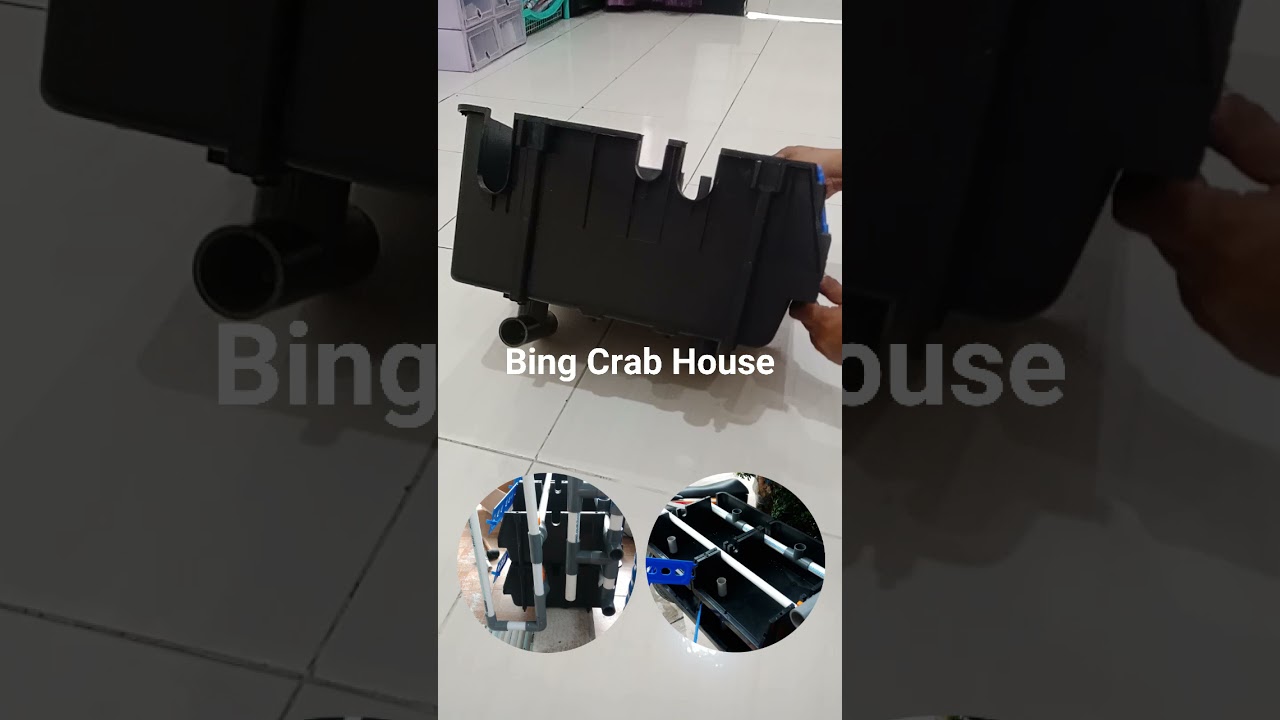 Box Crab House untuk budidaya kepiting sistem apartemen - YouTube