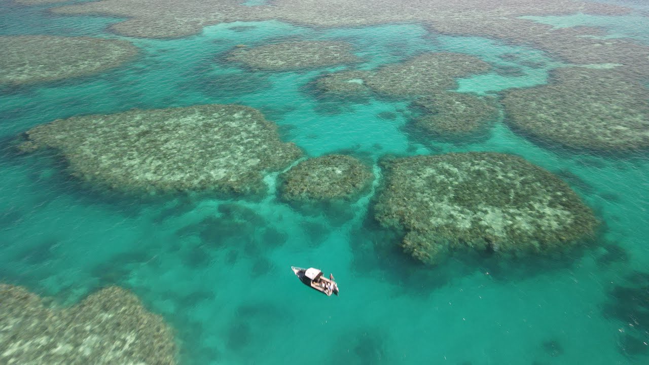 Fishing Airlie Beach - YouTube