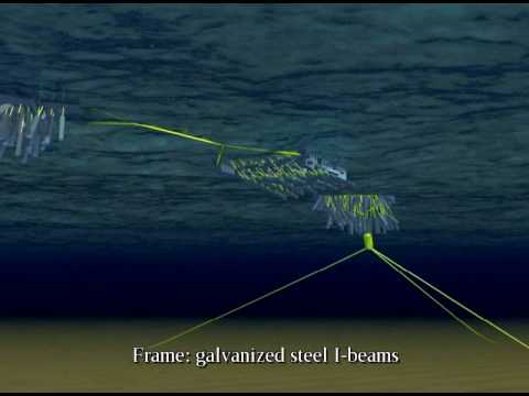 New shellfish culture rafts visualizations - YouTube