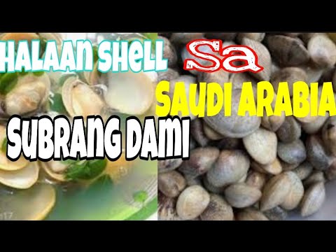 Halaan Shell in Saudi Arabia Buhay OFW - YouTube