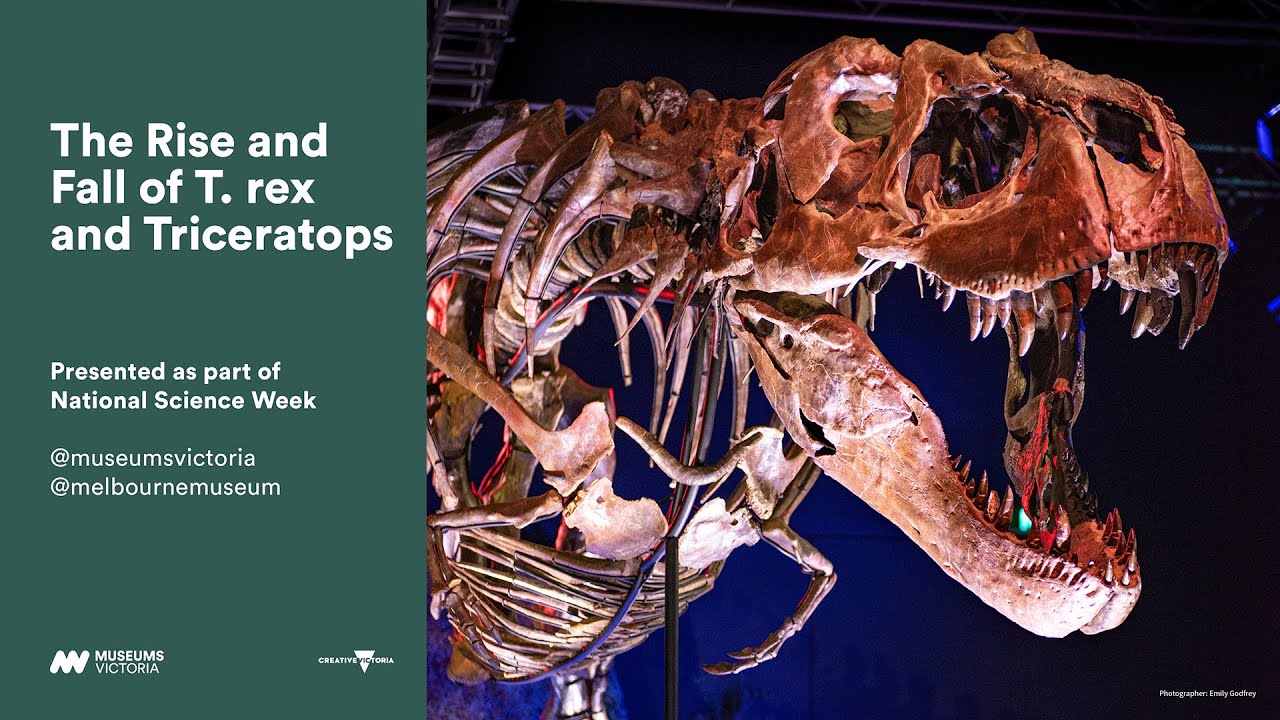 The Rise and Fall of T. rex and Triceratops - YouTube