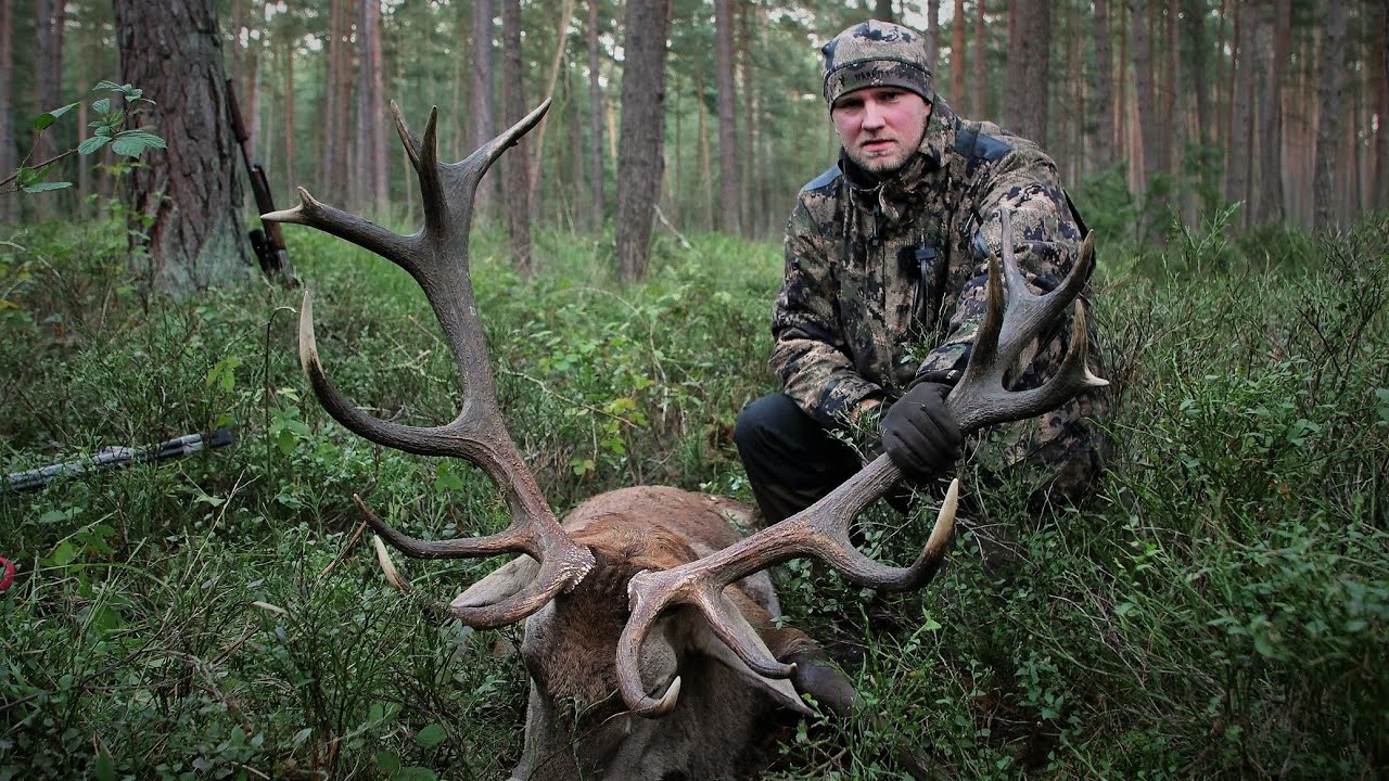 Trailer Hirschjagd an der Elbe – Der Kronprinz aus Gartow - YouTube