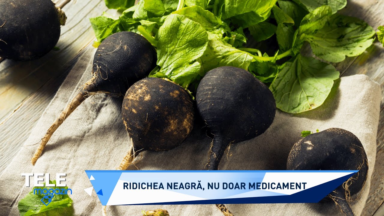Ridichea neagră. La ce mai este bună pe lângă tratarea tusei - YouTube