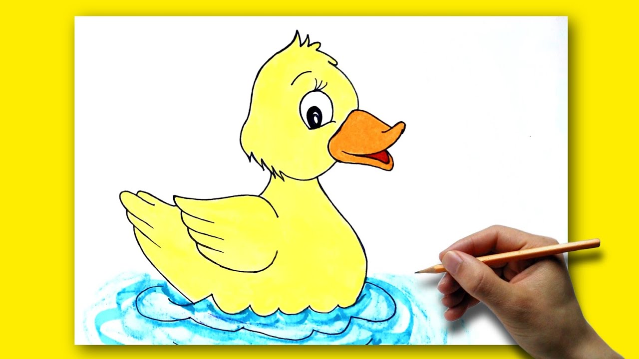 Duck Drawing | How To Draw Duck | Easy Drawing. - YouTube