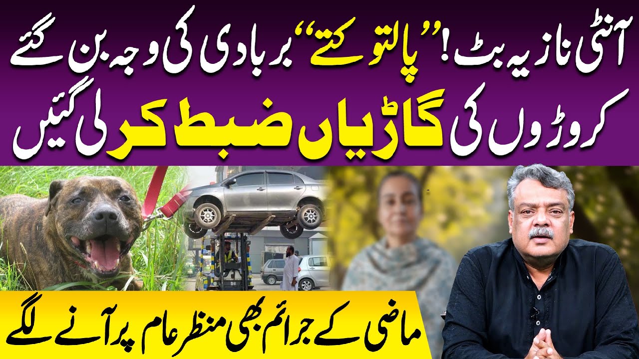 Aunty Nazia Butt Case | Palto Kutto ka Scandal, Gariyan Zabt, Purane Maamlay Dobara Be-Niqab ...