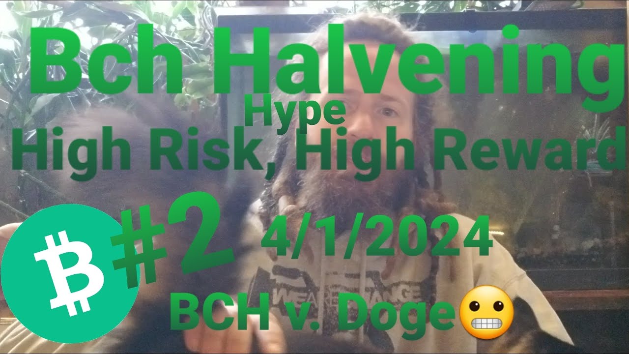 BCH Halvening in 2 days! High Risk, High Reward! Bch v. Doge! - YouTube
